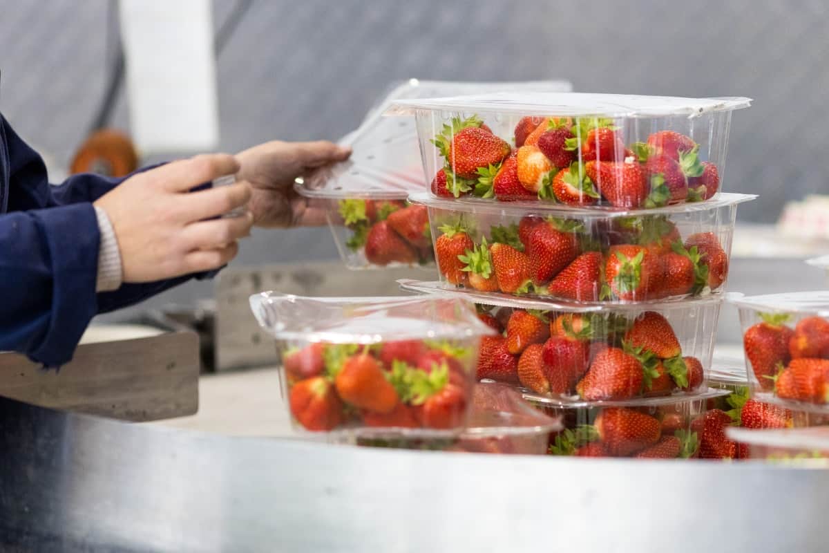 What is PLA? – Emirates Biotech